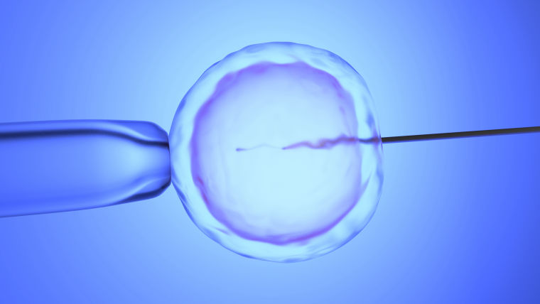 IVF vs IUI, And Other Treatments